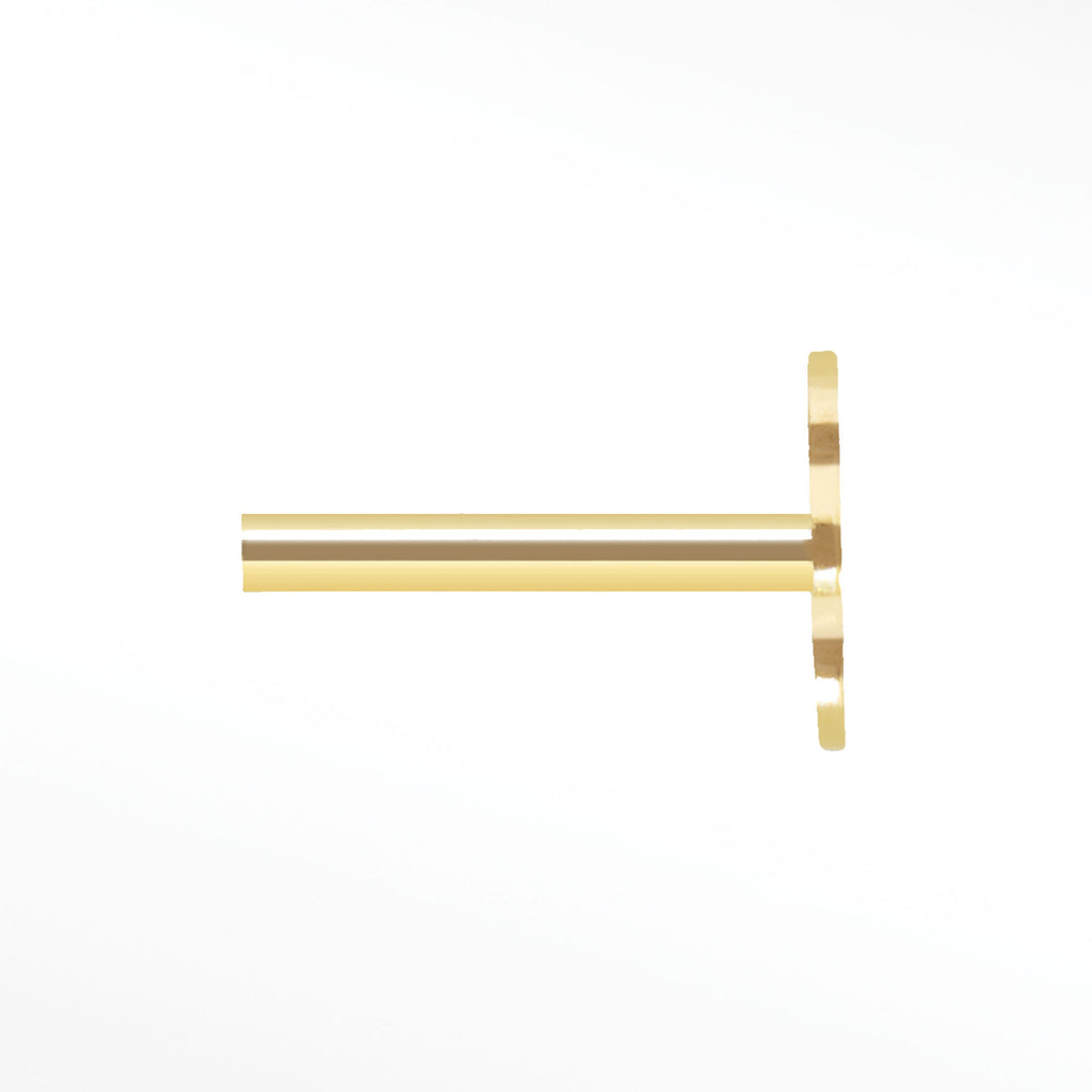 Flat Back Earrings 16G Labret 14k Gold – Nina Wynn